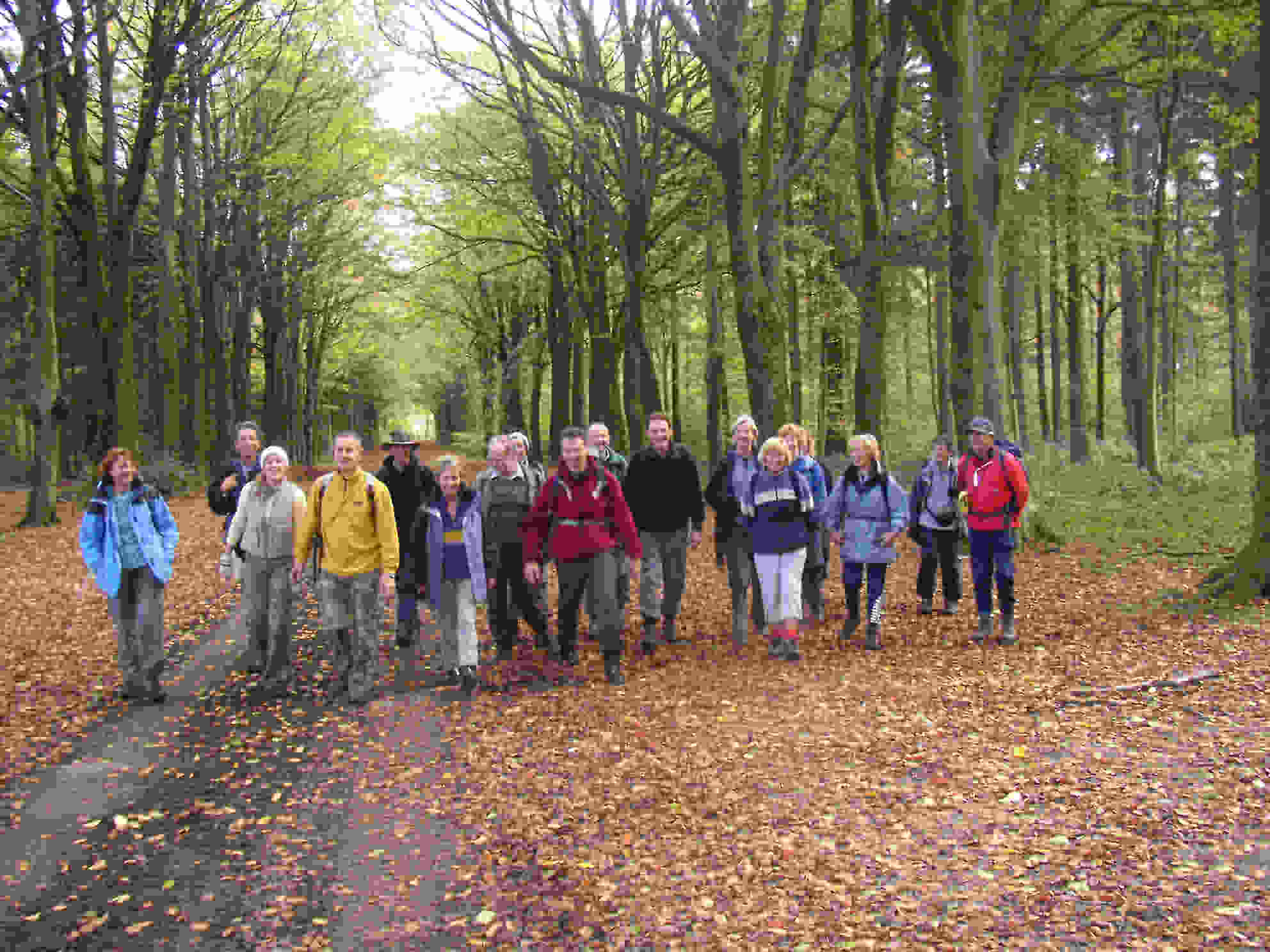 Dorset Area of the Ramblers Association